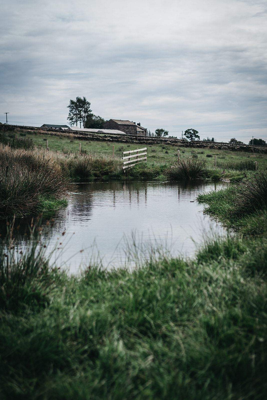 Two new roles for Calder and Colne Landscape Links - Eye on Calderdale