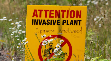 Your simple guide to flood preparedness in Calderdale - Eye on Calderdale